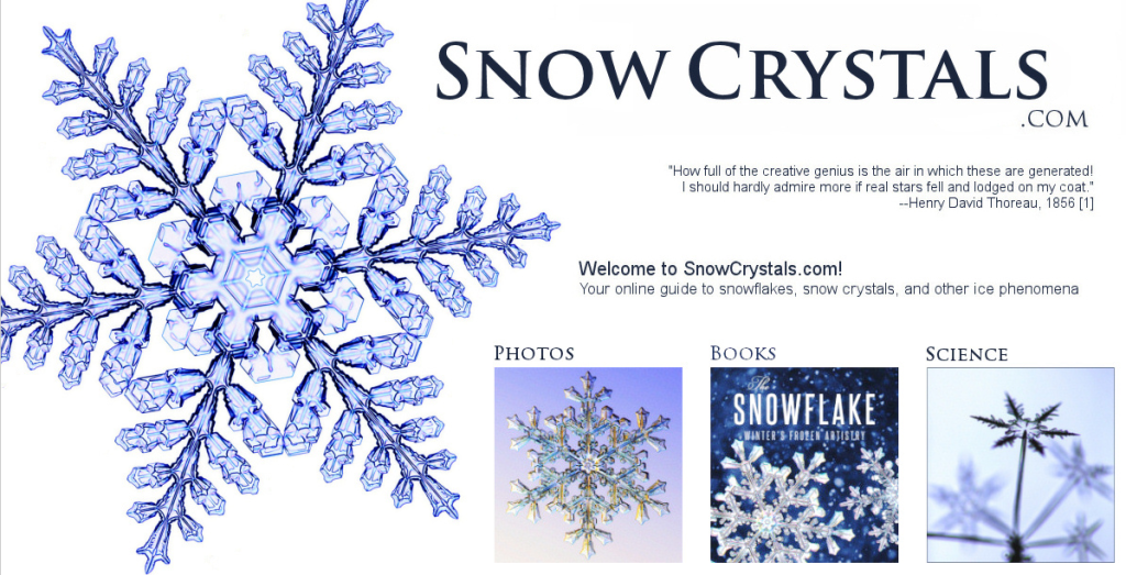 Winter STEM with Snowflakes - STEM Activities for Kids