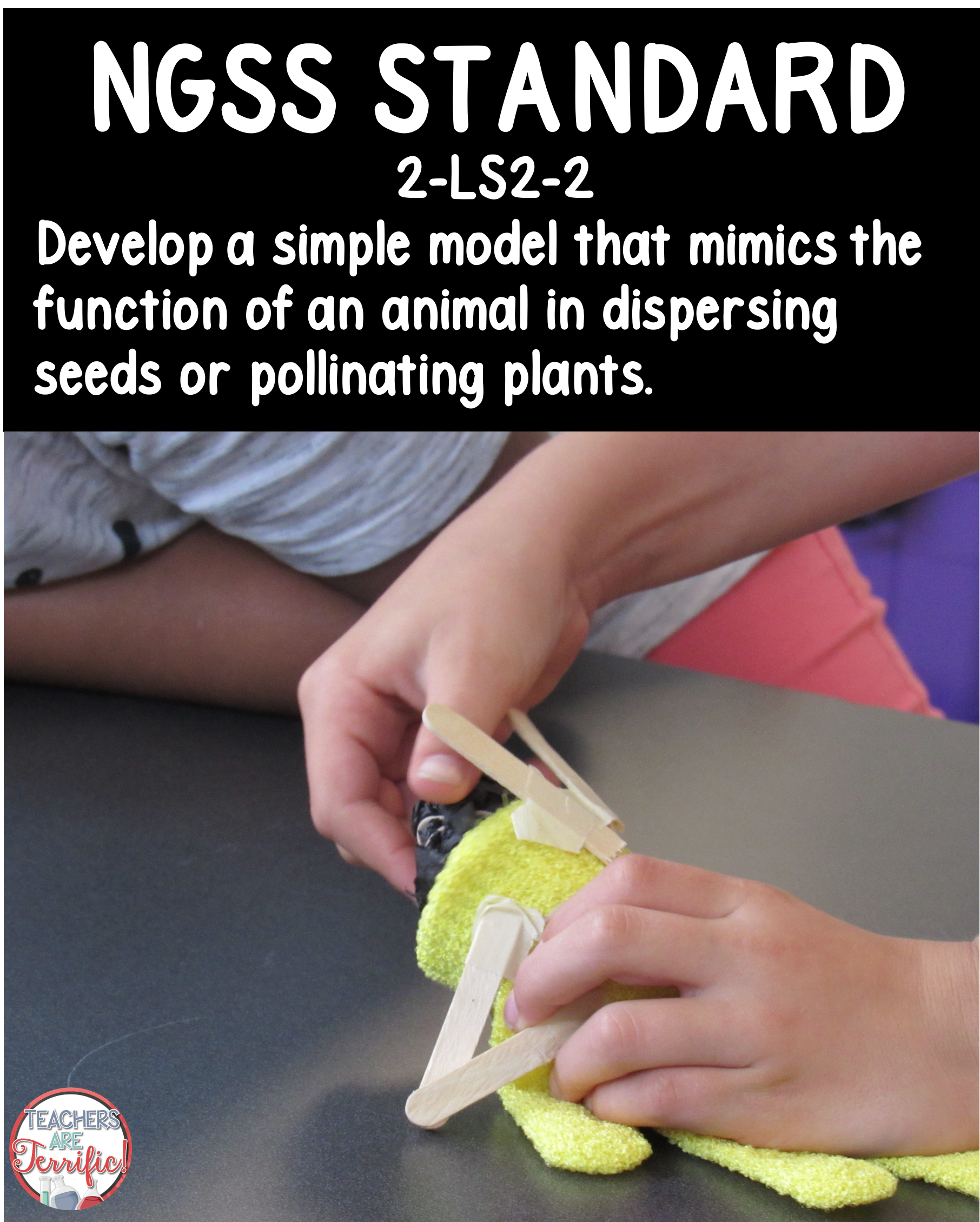 Seed Dispersal - STEM Activities for Kids