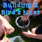 Spring STEM: Building a Bird Nest - STEM Activities for Kids