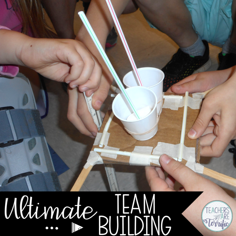 The Ultimate in Teamwork - STEM Activities for Kids