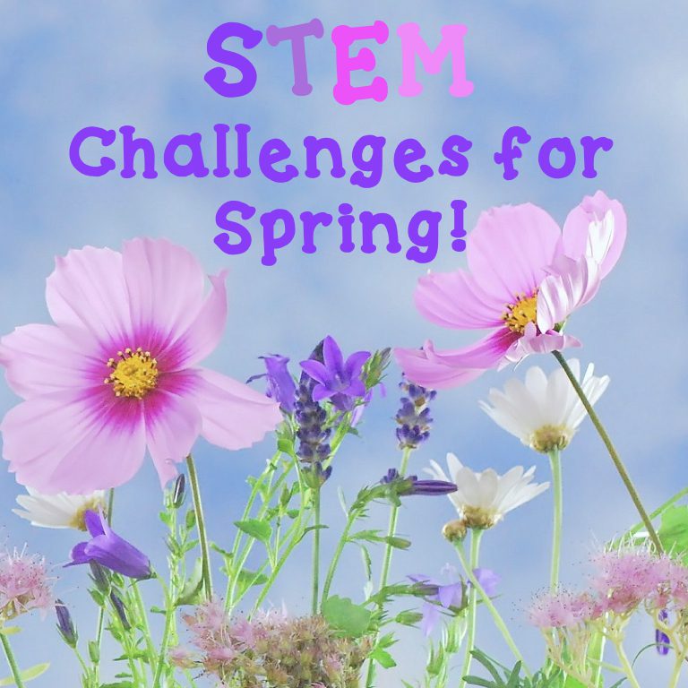STEM in Bloom@.001 - STEM Activities for Kids