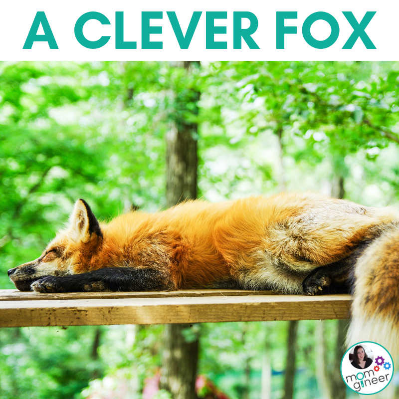 Bookshelf STEM Fantastic Mr. Fox - STEM Activities for Kids