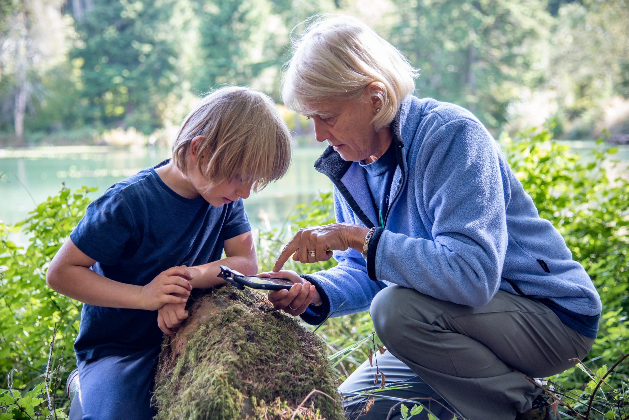 Citizen Science: Fostering the Joy of Making a Difference - STEM ...