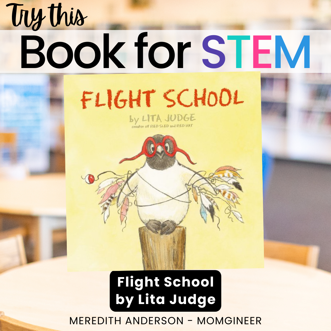 Paper Airplane STEM Activity - An easy to implement but engaging ...